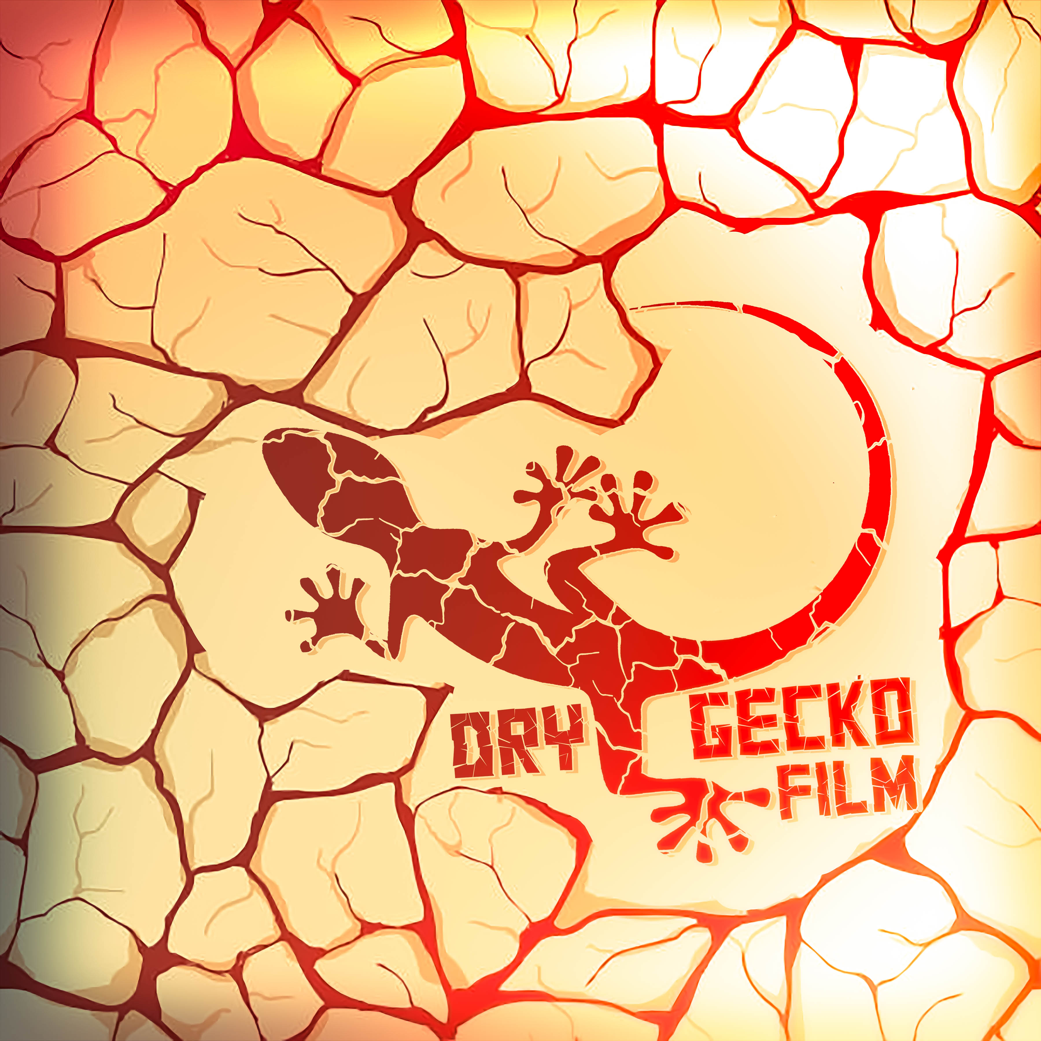 DryGeckoFilm - Start